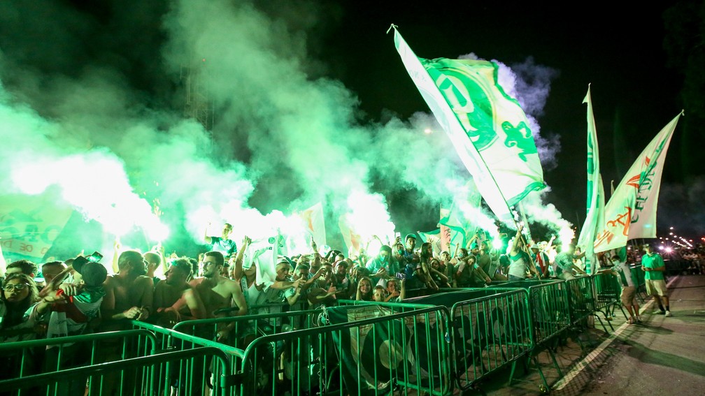 Fotos E Vídeos Palmeiras Volta A Sp Com Taça Da Libertadores E